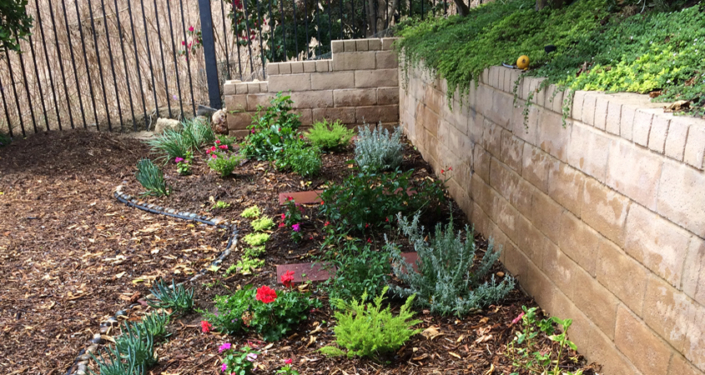 Match Your Landscape Plants To Your Microclimates - Water News Network ...