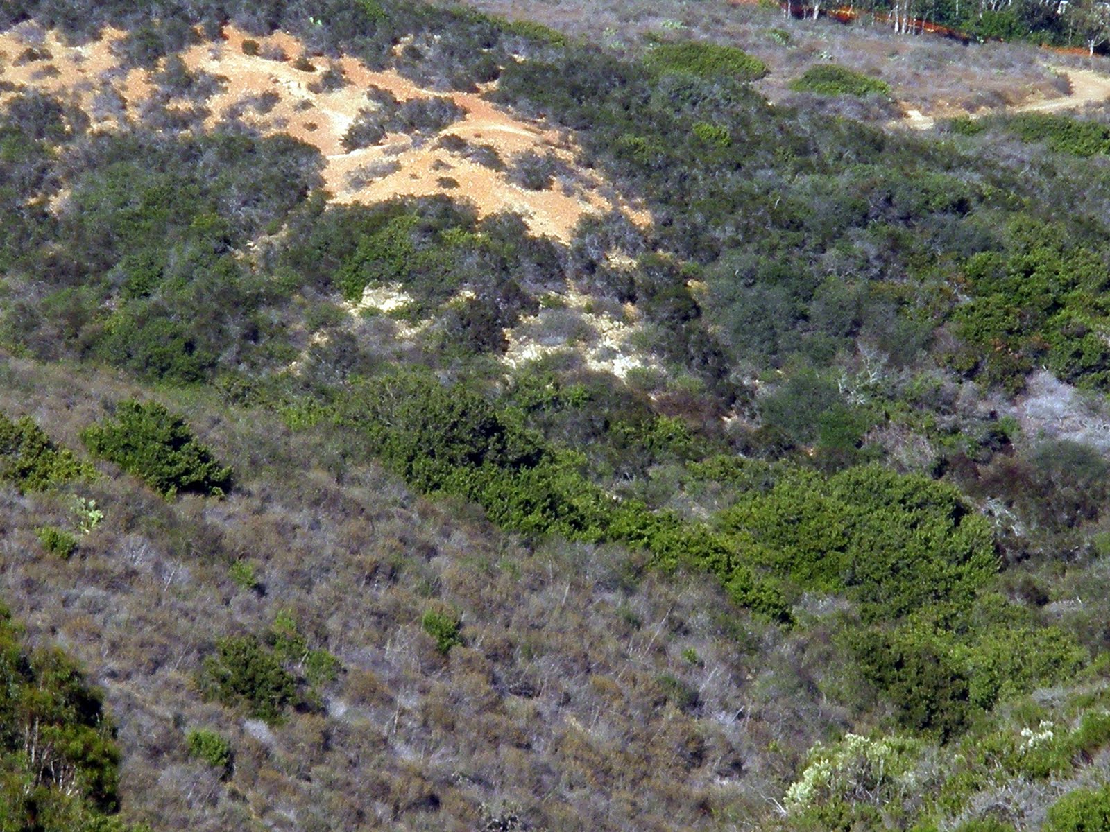 Mirroring Native Plant Communities in Sustainable Landscaping - Water ...