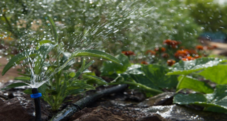 Choosing Your Best Irrigation Method: Spray or Drip - Water News ...