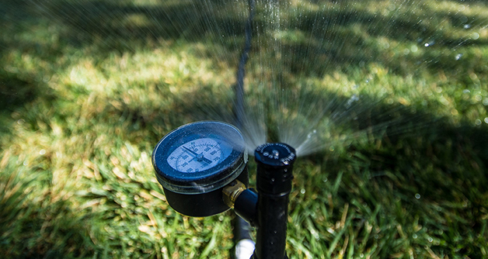 Spray Versus Drip Irrigation: Which is Best for You? - Water News ...