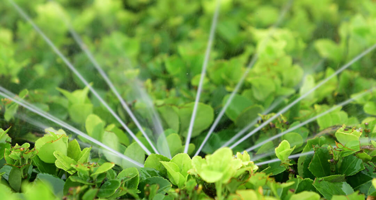 Smart Irrigation Month Highlights Water-Efficient Technology - Water ...